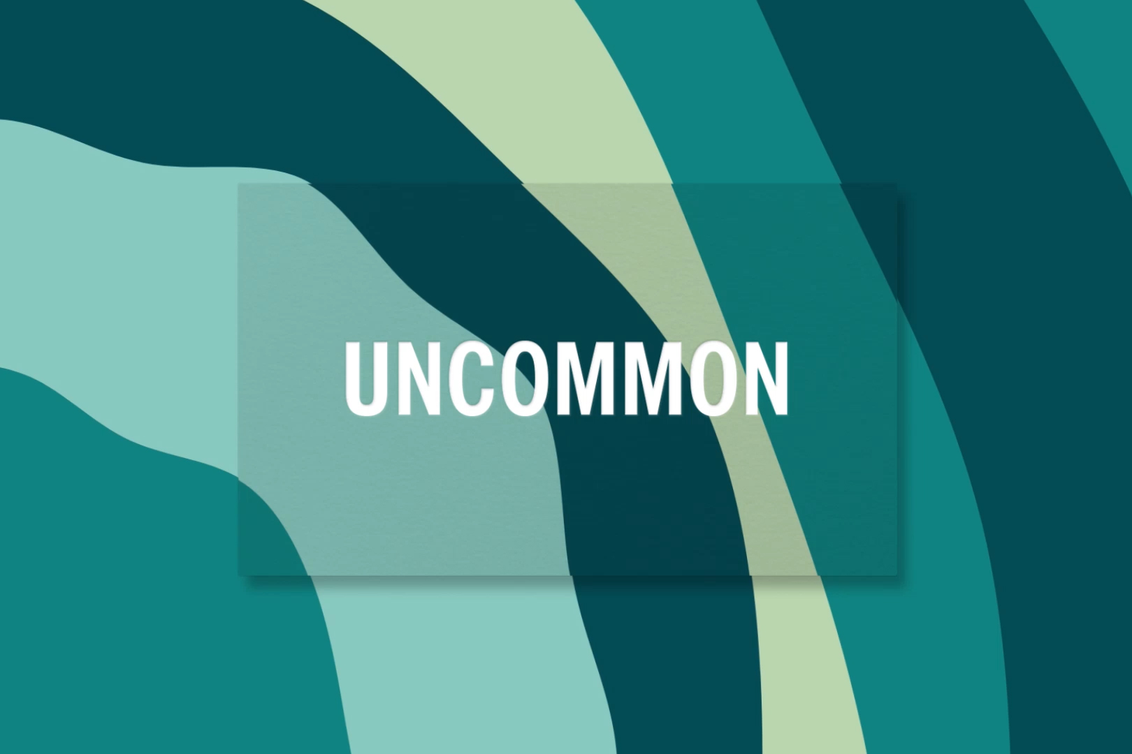 Studio Makgill — Uncommon